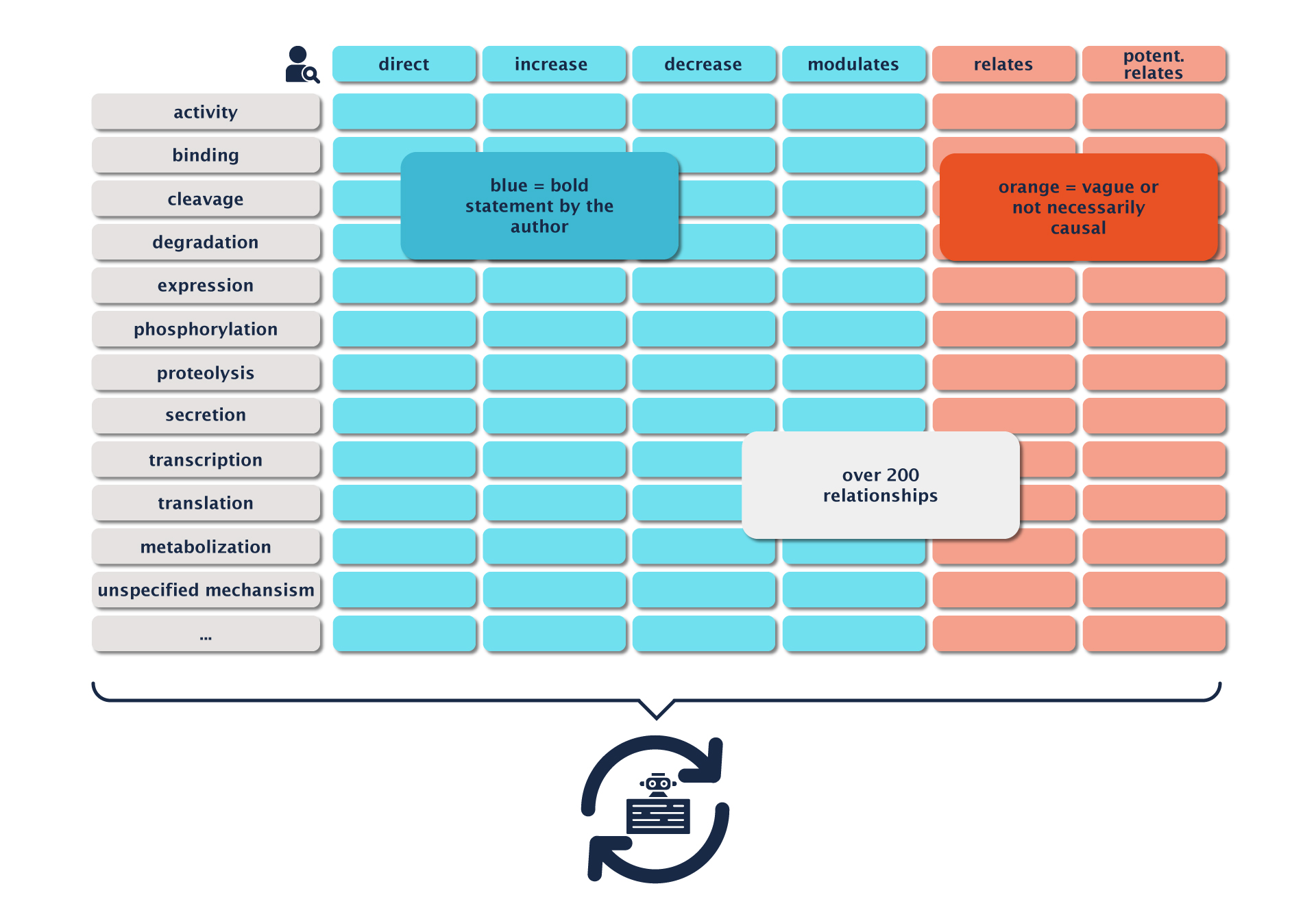 Identifying causal relationships with knowledge graphs and large language models